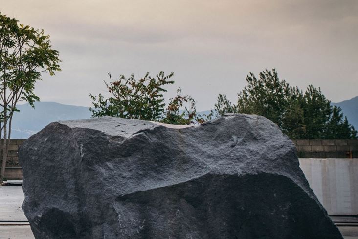 Custom Lava Stone Planters - High Quality and Design